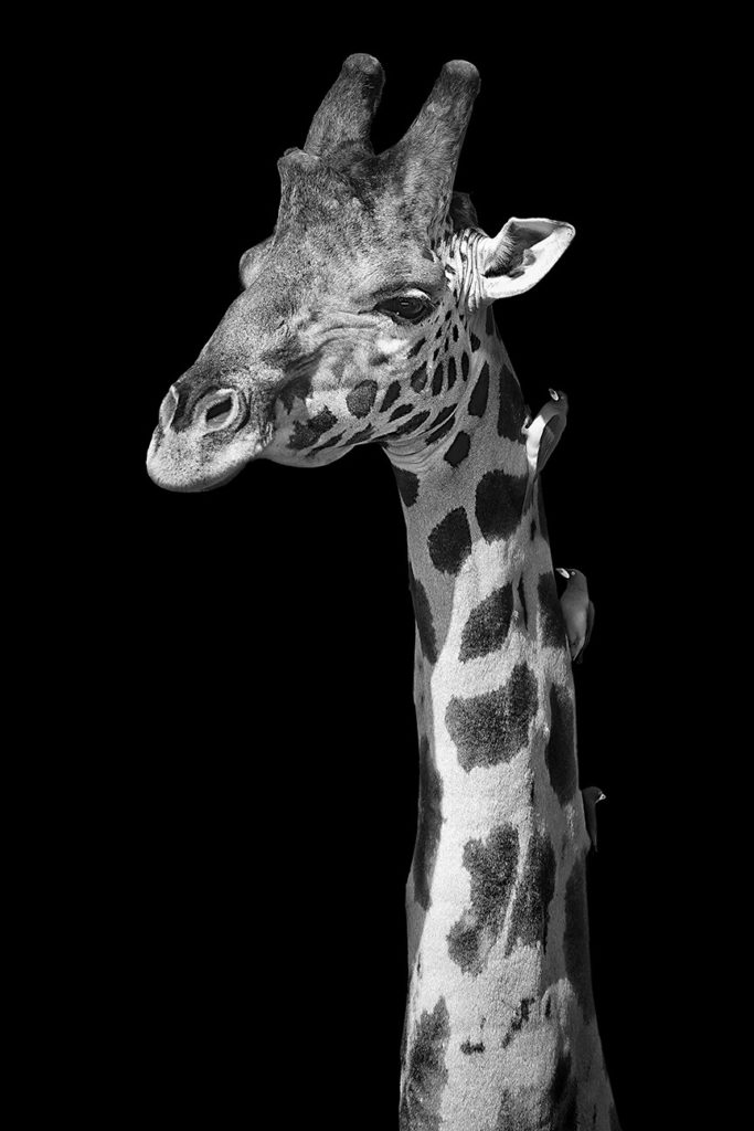 Galleries - Douglas Stratton Fine Art Travel Photography